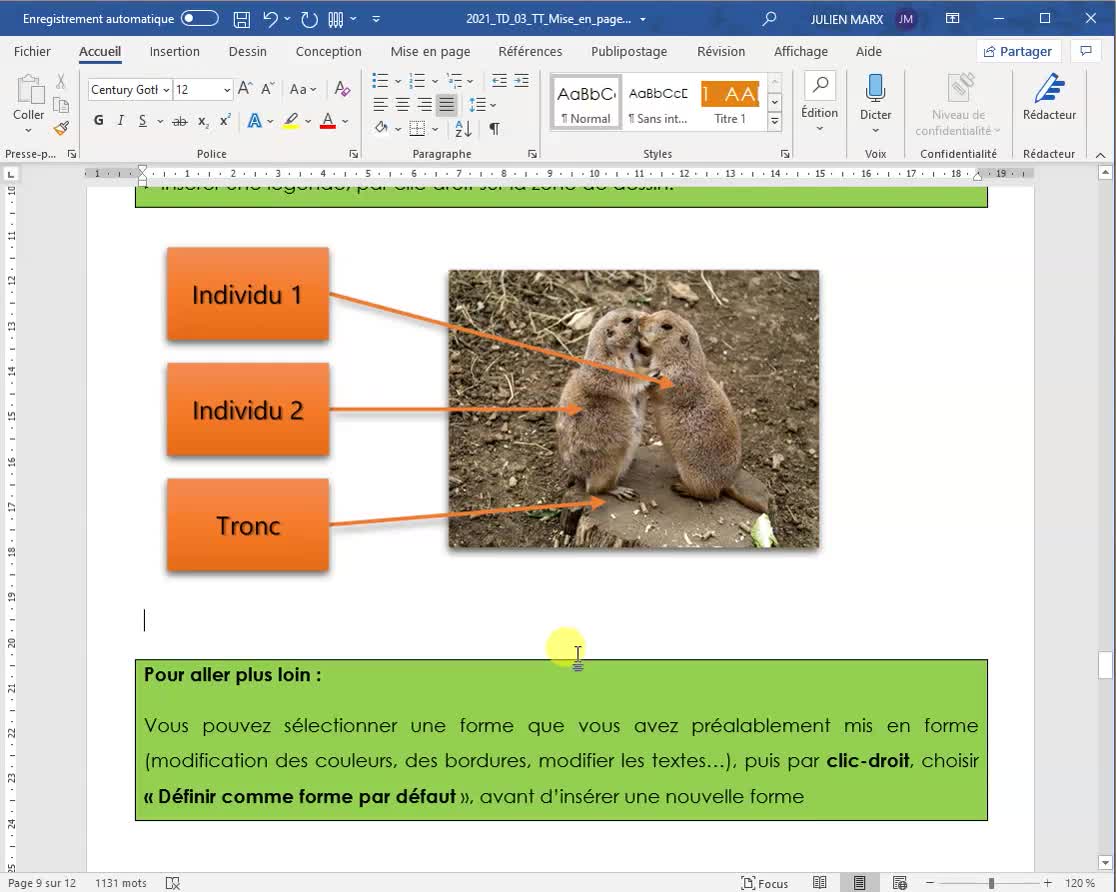 09_Word_Schéma_Formes
